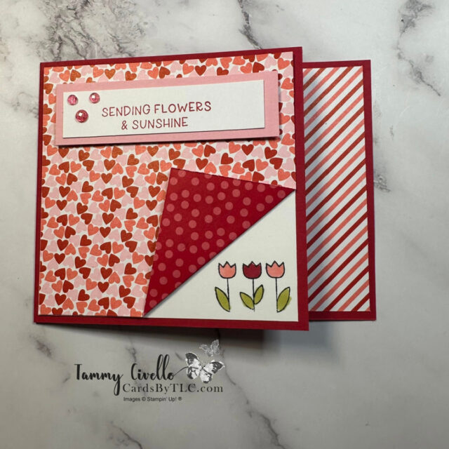 Fun Pop Up Card